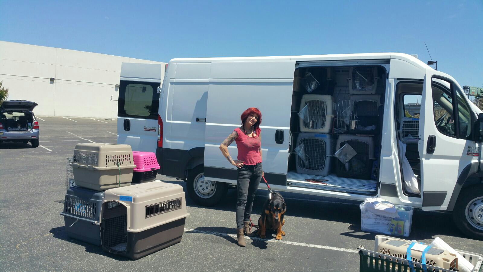 Why We Need A Sprinter! - Rocket Dog Rescue