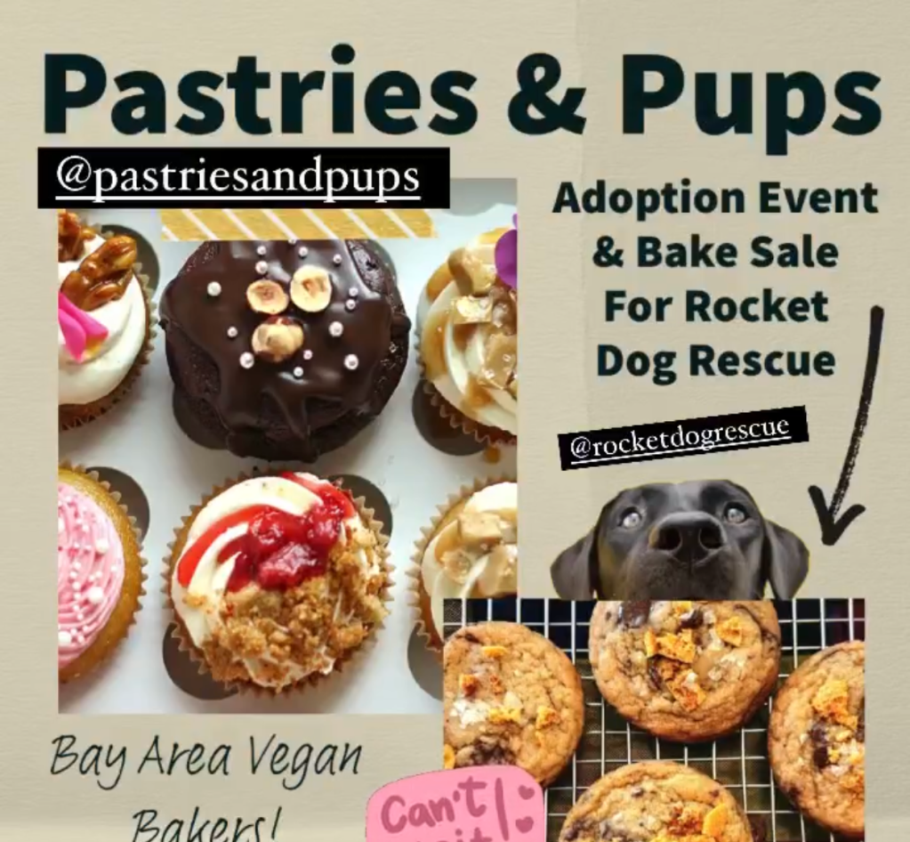 Pastries & Pups Event (Oakland) - Rocket Dog Rescue