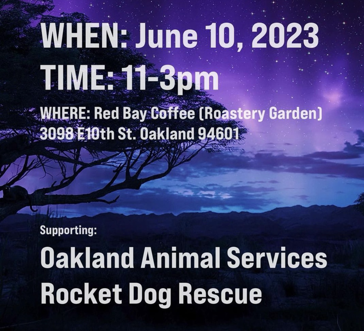 Red Bay Roastery Garden Adoption Pop-Up (Oakland) - Rocket Dog Rescue