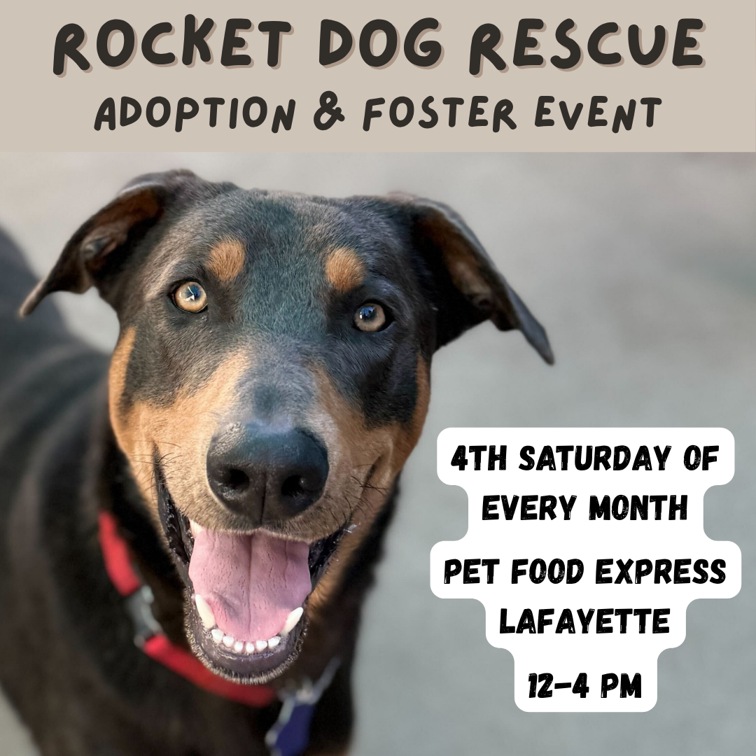 Events - Rocket Dog Rescue