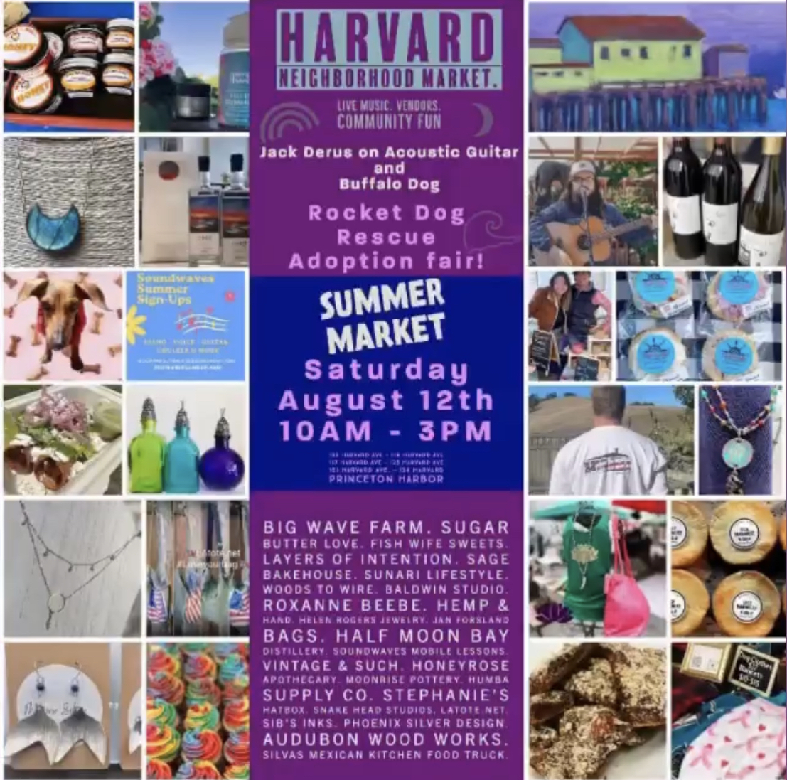 Adoption Pop-Up Event (Half Moon Bay) - Rocket Dog Rescue