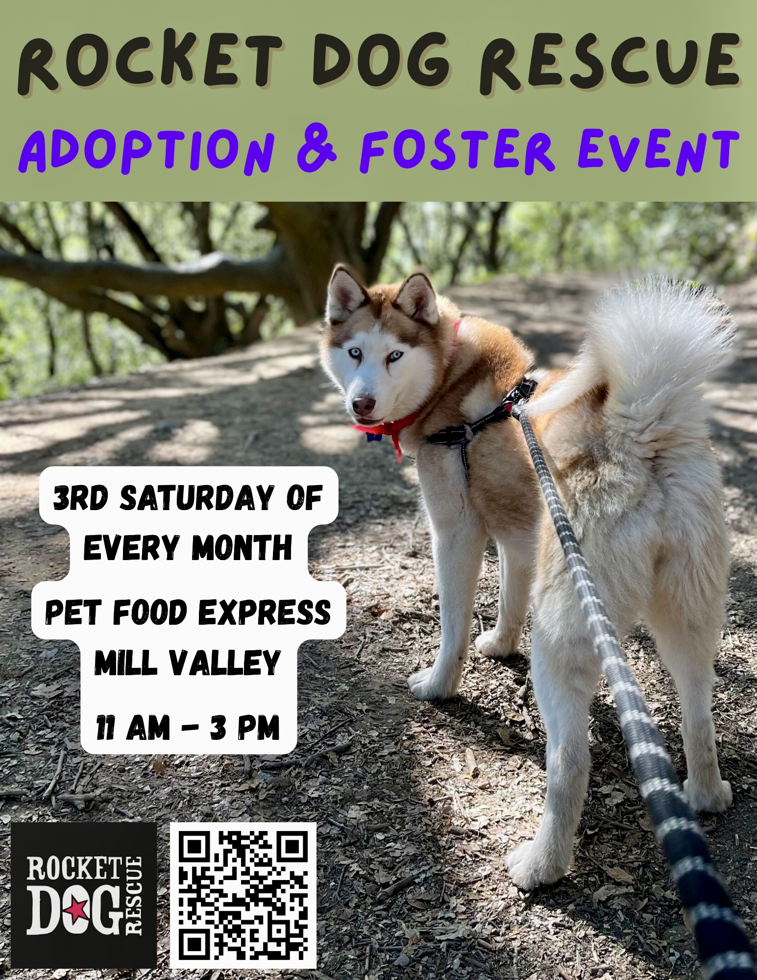 Adoption•Foster Event (Mill Valley) - Rocket Dog Rescue