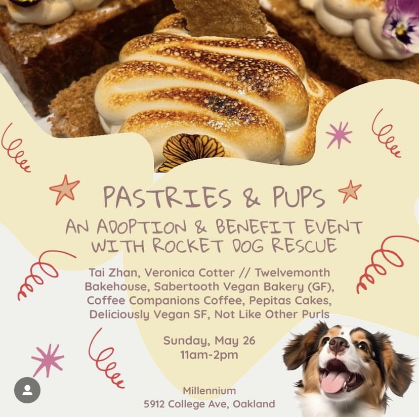 Events - Rocket Dog Rescue