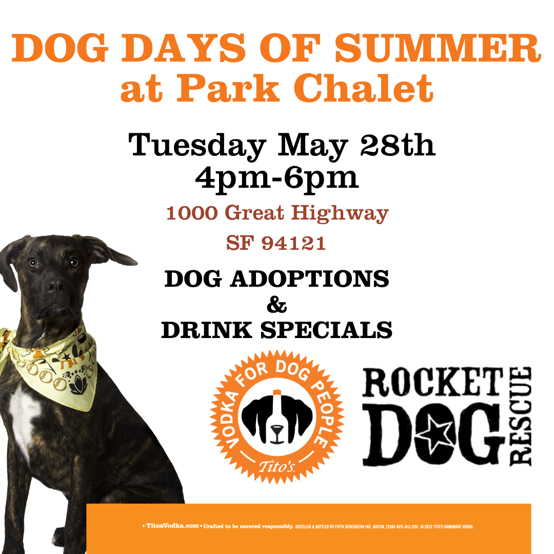 Pop-Up Adoption Event @ Park Chalet (San Francisco) - Rocket Dog Rescue