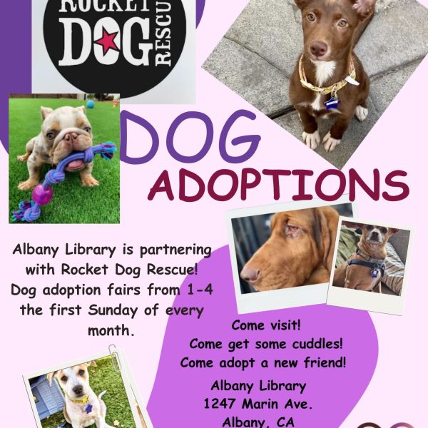 Home - Rocket Dog Rescue