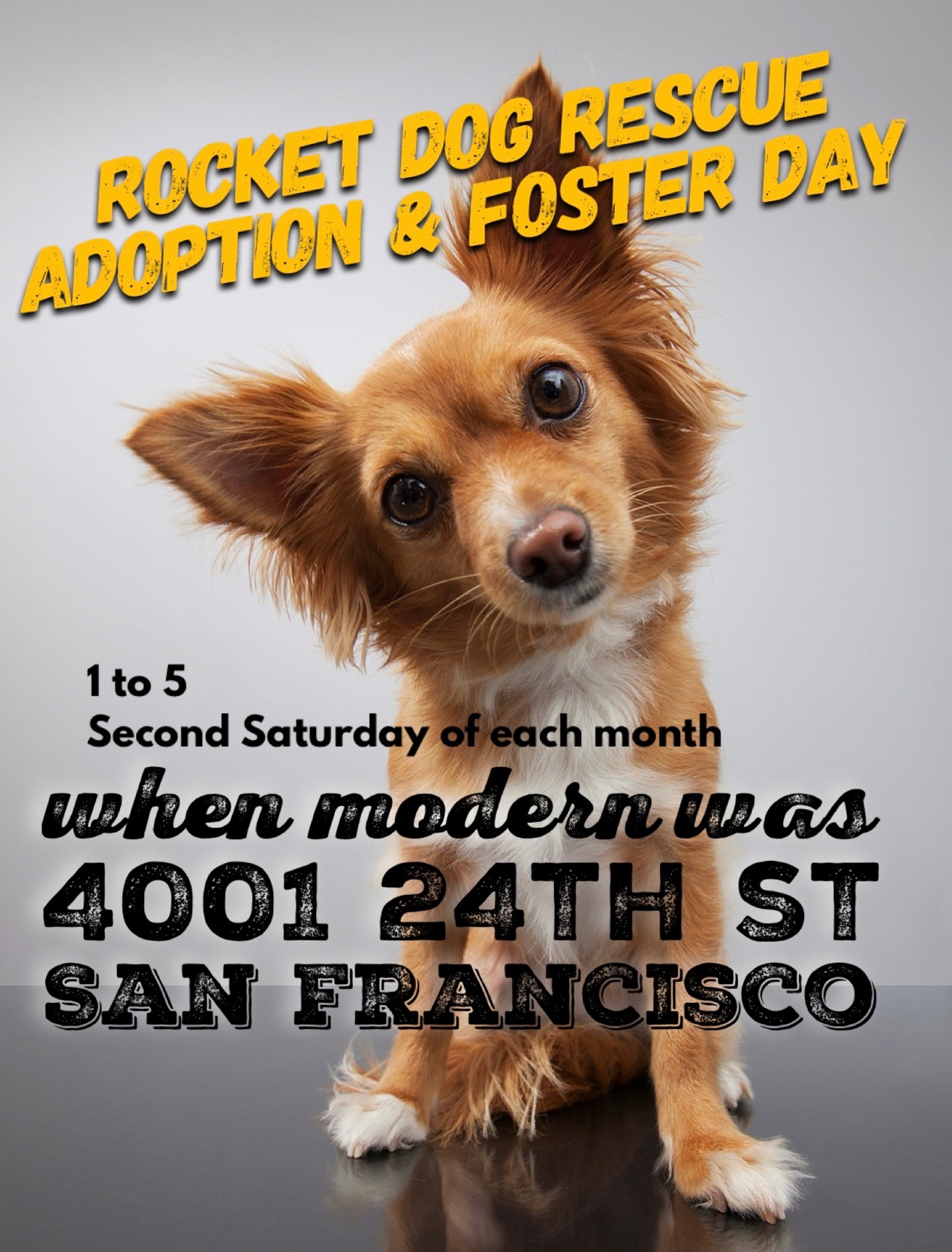 Pop-Up Adoption•Foster Event @When Modern Was (San Francisco) - Rocket ...