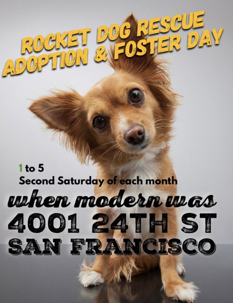 Adoption•Foster Event (San Francisco) - Rocket Dog Rescue
