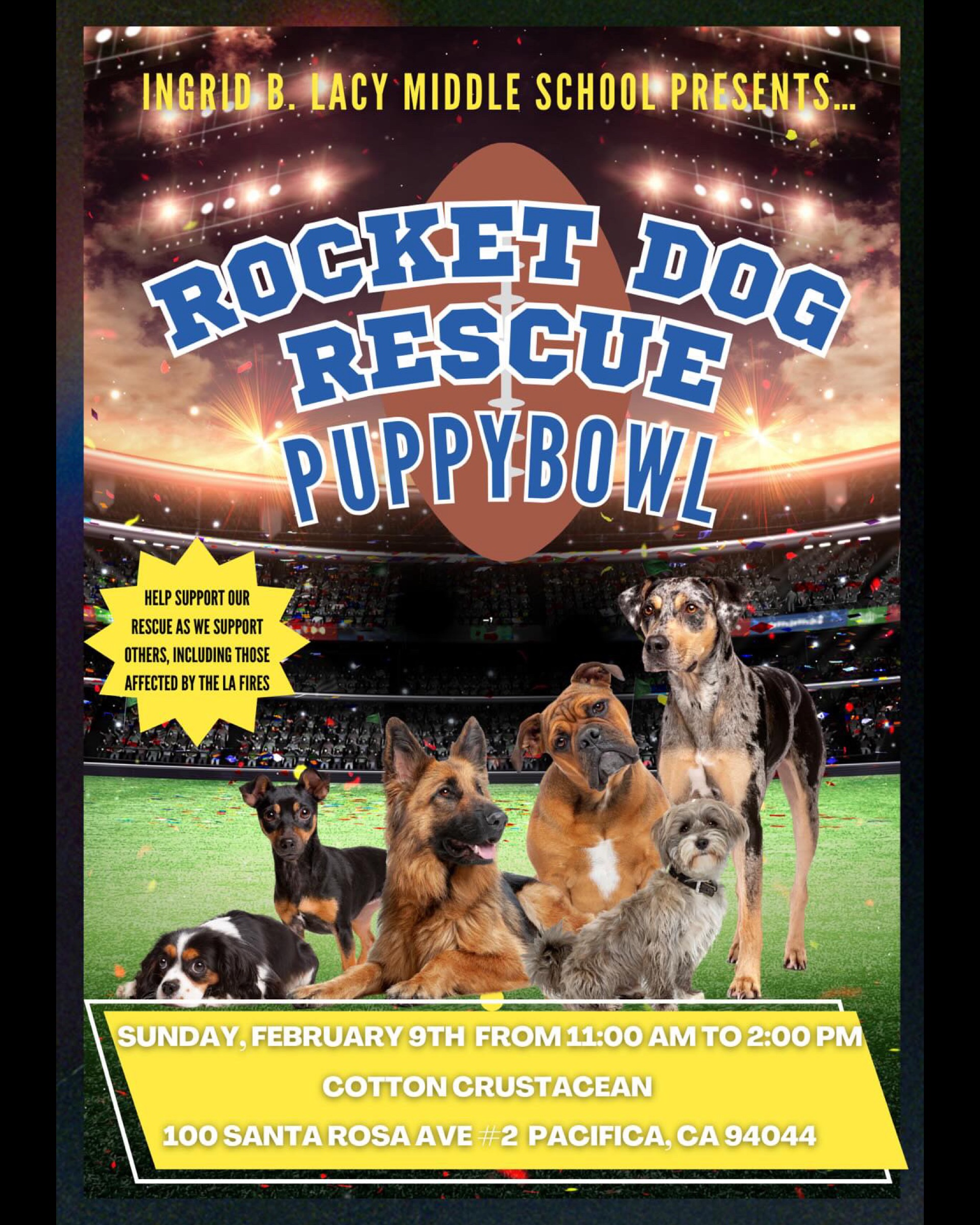 Adoption•Foster Event @ Cotton Crustacean (Pacifica) - Rocket Dog Rescue