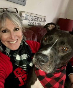 Home - Rocket Dog Rescue