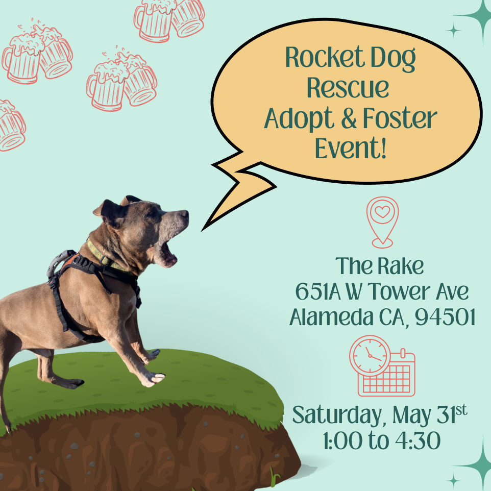 Pop-Up Adoption•Foster Event @ The Rake (Alameda) - Rocket Dog Rescue